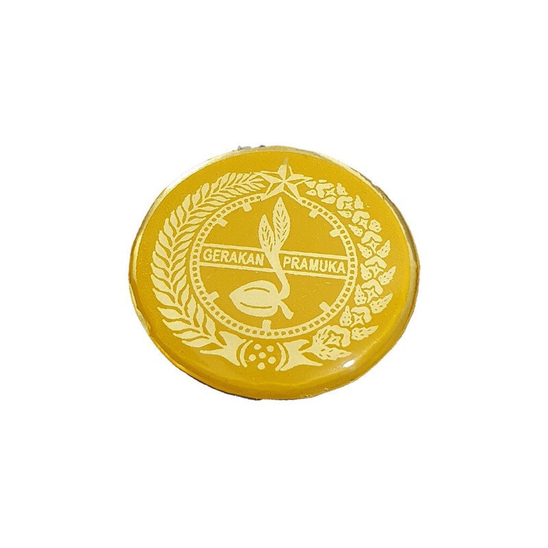Jual Pin Topi Pramuka Putri Resin Penegak, Kuning | Shopee Indonesia