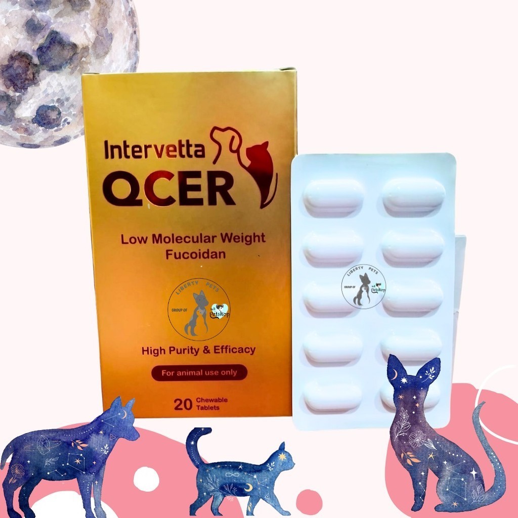 Jual QCER Intervetta Obat Kanker Tumor Cancer Cat Dog Kucing Anjing (1 Tablet) | Shopee Indonesia