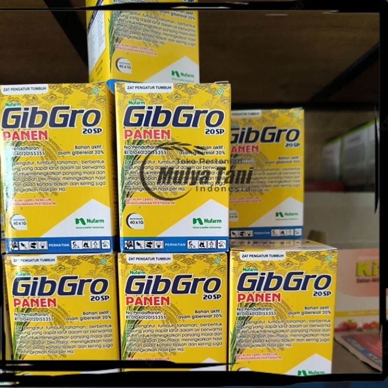 Jual Gibgro zpt gib gro panen 20 sp 1 gr | Shopee Indonesia