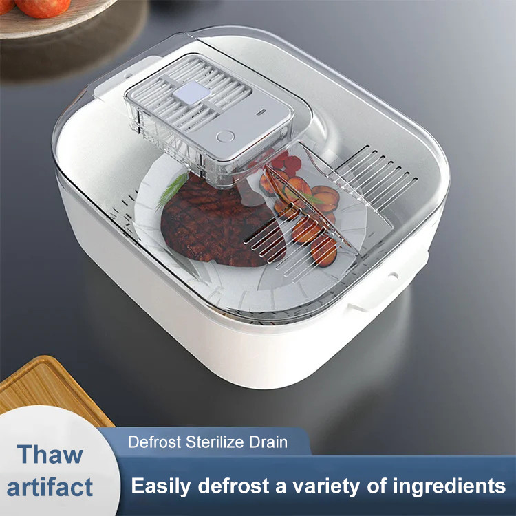 Jual Four-in-One Food Thawing Device for Home Use | Shopee Indonesia