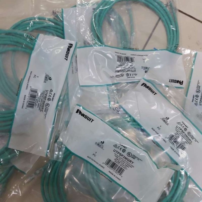 Jual Kabel LAN Cat6 Panjang 3 Meter Panduit UTPSP3MGRY | Shopee Indonesia