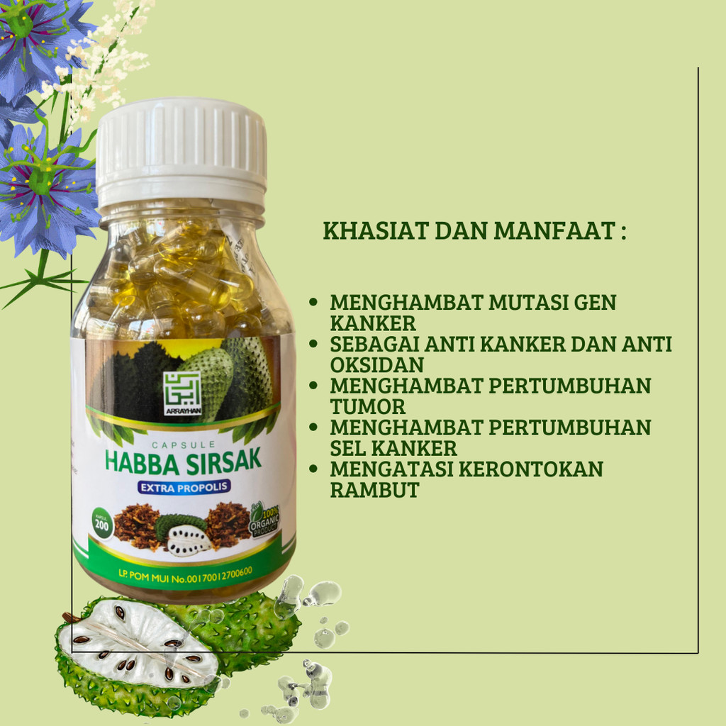 Jual Obat Herbal Kanker Dan Tumor - Kapsul Daun Sirsak, Habbatussauda ...