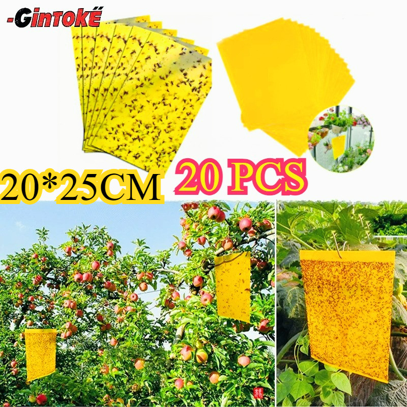 Jual 20pcs Perangkap Lalat Buah(Yellow Trap Likat Kuning)Yellow Trap ...
