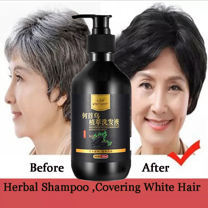 Jual Sampo Penghilang Uban Shampoo Black Herbal Natural Polygonum ...