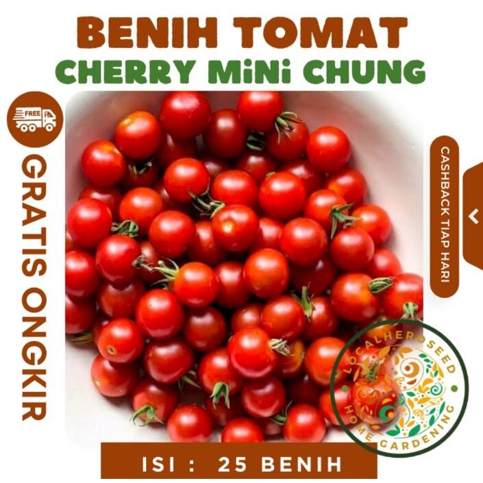Jual BENIH 25 Benih Tomat Cherry Merah Mini Chung Bibit Chery Tanaman ...