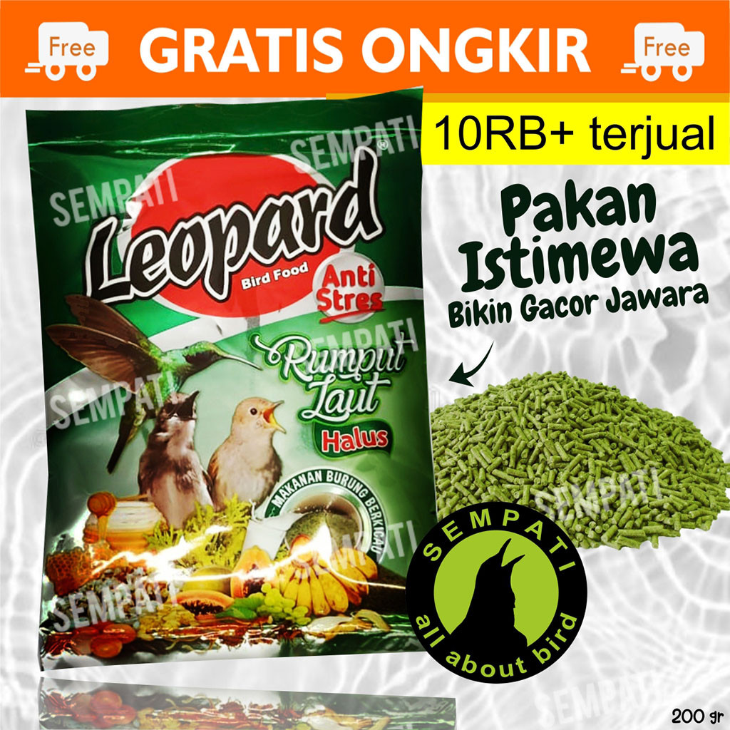 Jual SEMPATI LEOPARD RUMPUT LAUT IJO PAKAN PUR VOER HALUS ALUS PAKAN ...