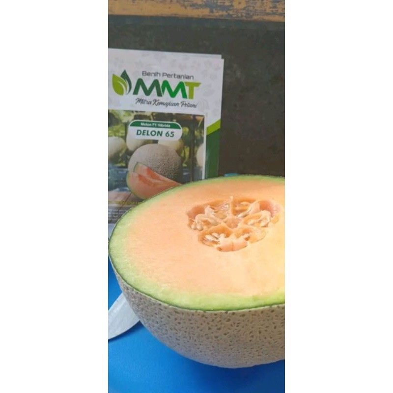 Jual VY67D34 Benih Melon Super Jumbo Delon 65 F1 (Rock Melon Daging ...