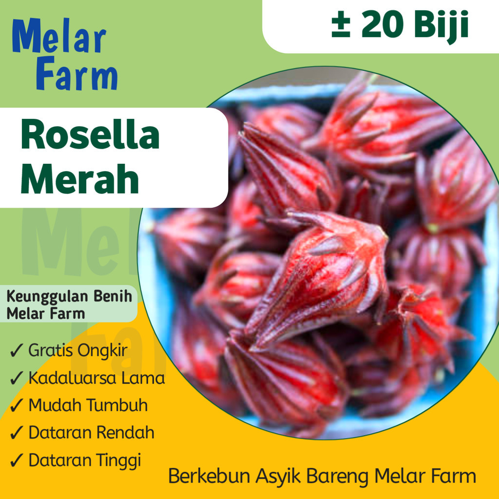 Jual Melar Farm - 20 Bibit Bunga Rosella Merah Tanaman Herb Unggul ...
