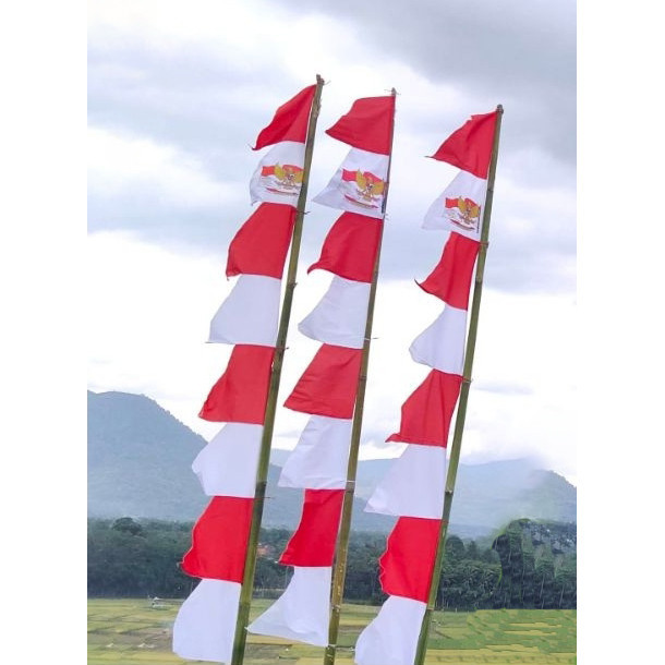 Jual Bendera umbul umbul merah putih umbul umbul warna 8 gergaji sablon garuda | Shopee Indonesia