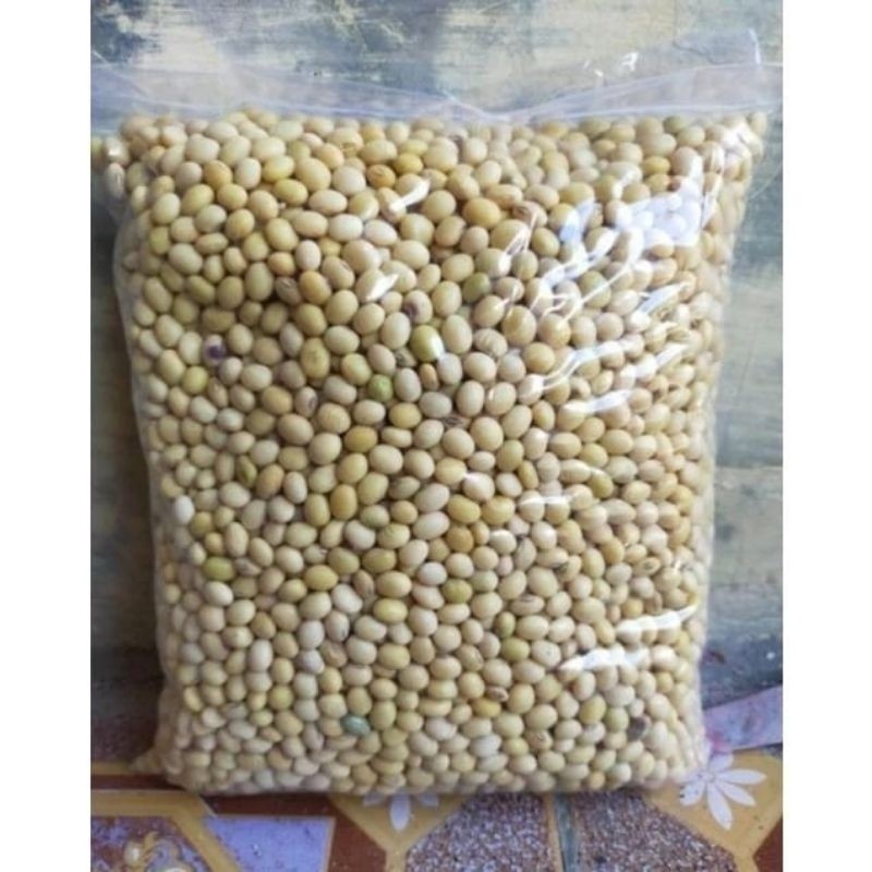 Jual 1 KG BENIH KEDELAI SIAP TANAM SNP GARDEN SEED | Shopee Indonesia
