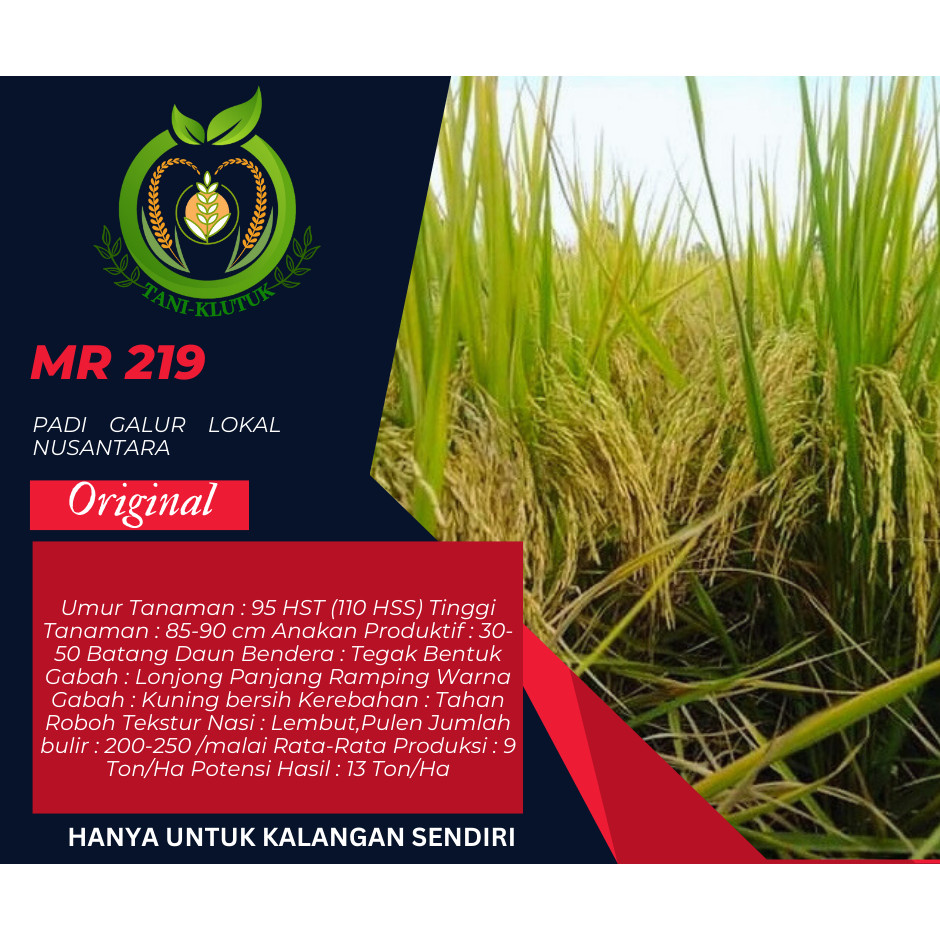 Jual Biji/benih Padi Unggul MR 219 MR219 5KG ORIGINAL PTODUK | Shopee ...