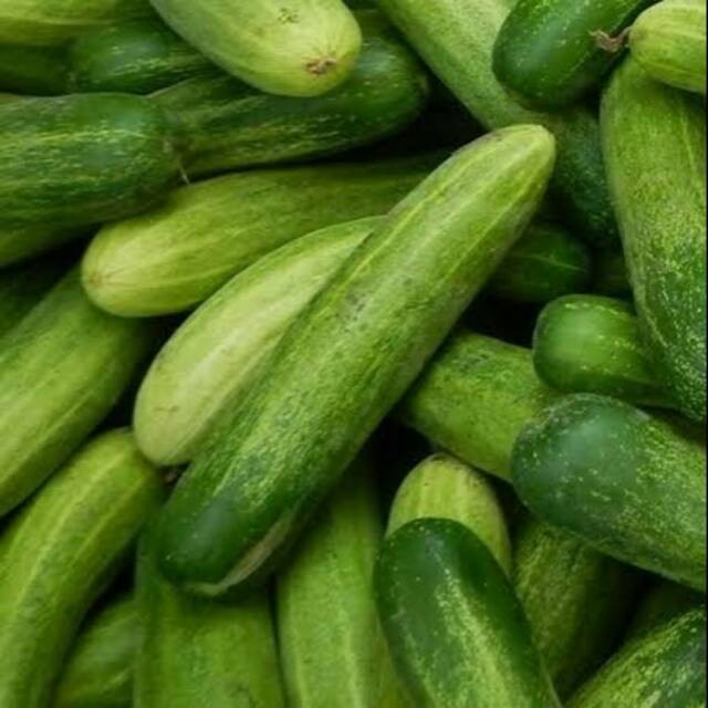 Jual Timun Segar 500gram-1kg | Shopee Indonesia