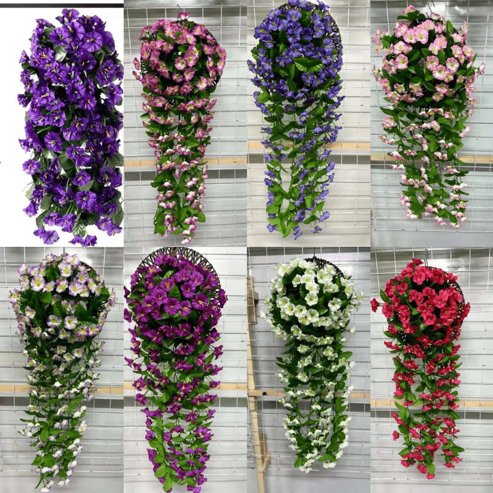 Jual Tanaman Anggur Bunga Morning Glory Gantung Buatan Bunga Petunia ...