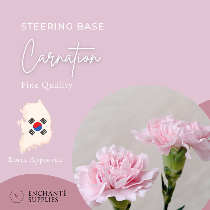 Jual Carnation Steering Base Best Quality For Perfumery (Professional ...