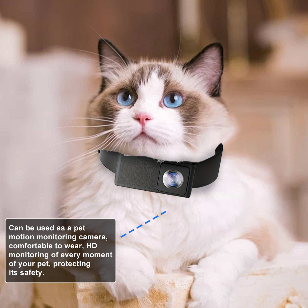 Jual Cat camera collar video and audio 1080P Night Vision Body Camera ...