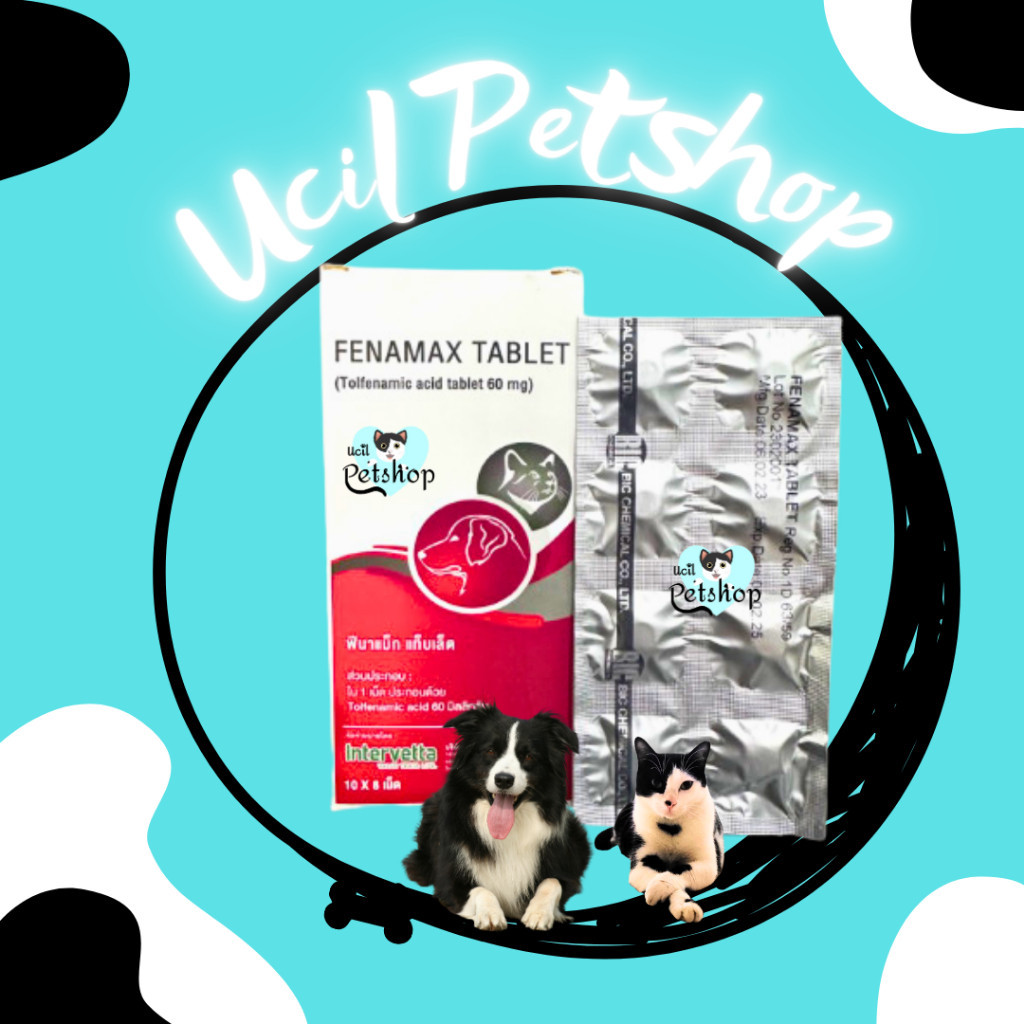 Jual Intervetta Fenamax Obat Panas / Demam / Radang / Anti Nyeri Kucing ...