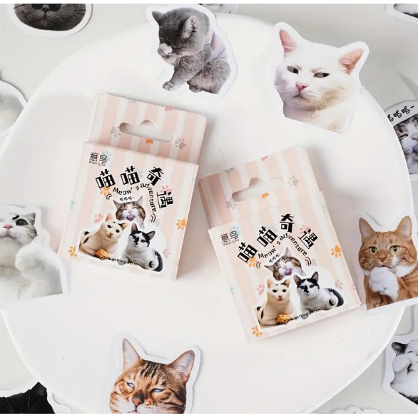 Jual Sticker Pack Isi 46 Lembar MEOW ADVENTURE Scrapbook Journal Stiker ...