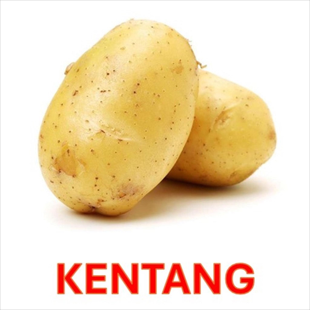 Jual KENTANG BESAR FRESH / KENTANG SEGAR / HARGA PASAR | Shopee Indonesia