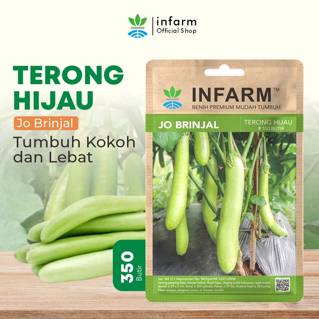 Jual INFARM - Benih Sayur Terong Hijau Bibit Sayur Terong Hijau Unggul ...