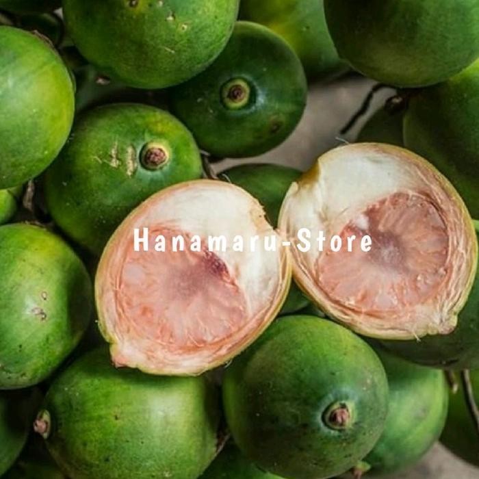 Jual Buah pinang muda kualitas super 1kg | Shopee Indonesia