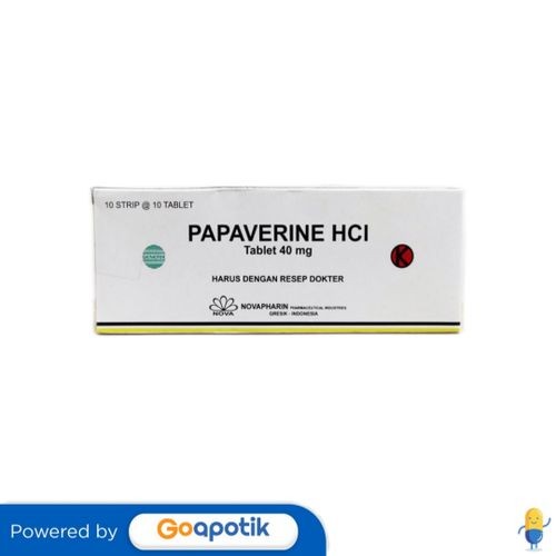 Jual Papaverin Hcl Novapharin 40 Mg Box 100 Tablet | Shopee Indonesia