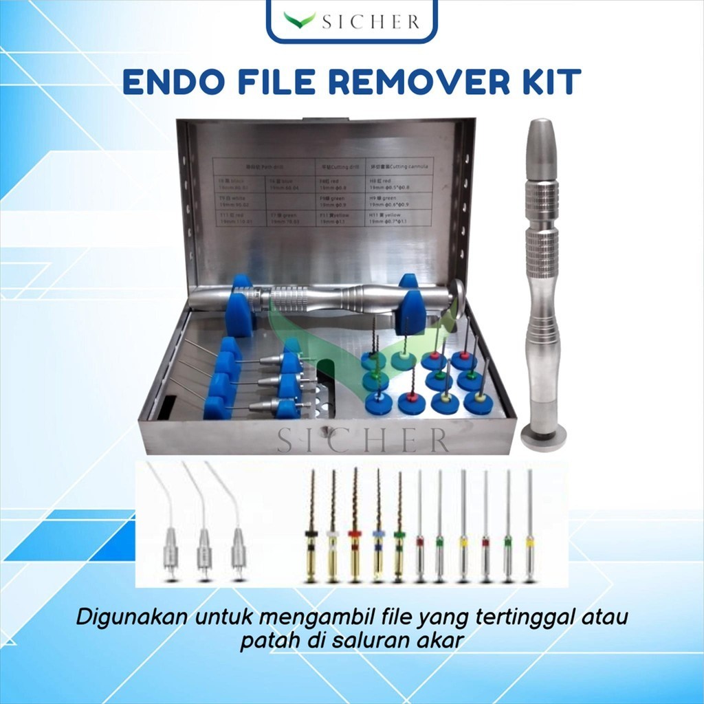 Jual Dental Root Canal File Extractor Broken Files Removal Kit Endo ...