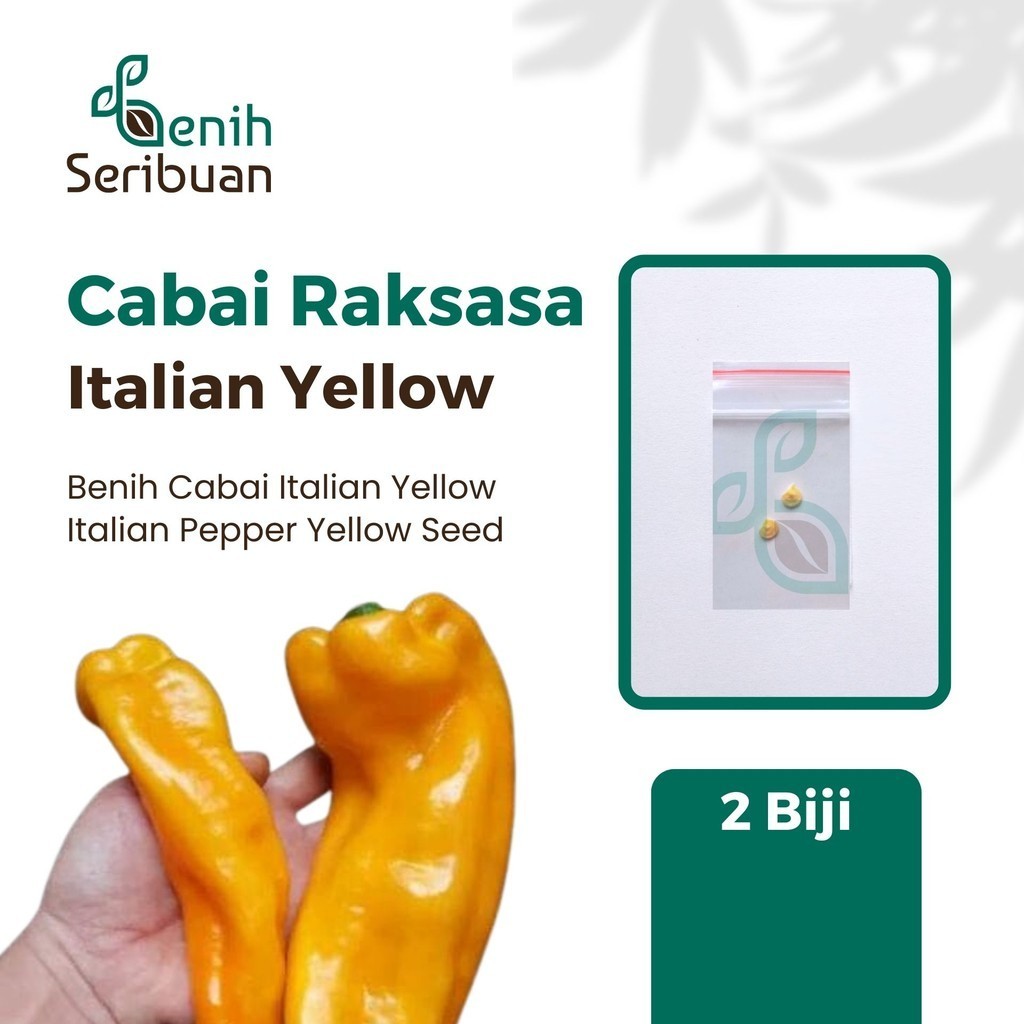 Jual Benih Seribuan - 2 Benih Cabe Raksasa Sweet Italian Pepper Yellow ...