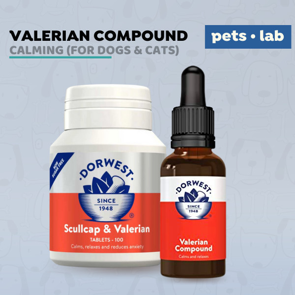 Jual Dorwest Valerian Scullcap Dog Cat Calm Stress Anjing Kucing ...