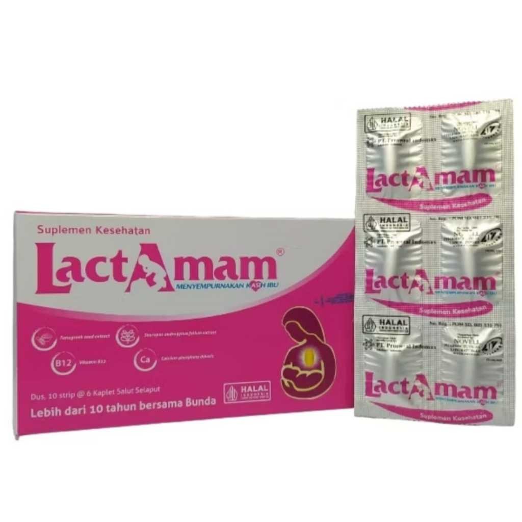 Jual Lactamam Strip Isi 6 Kapsul Membantu Melancarkan Air Susu Ibu ...
