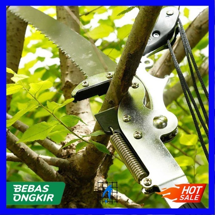 Jual Gergaji Pemotong Ranting Pohon Tinggi High Saw Tools | Shopee ...