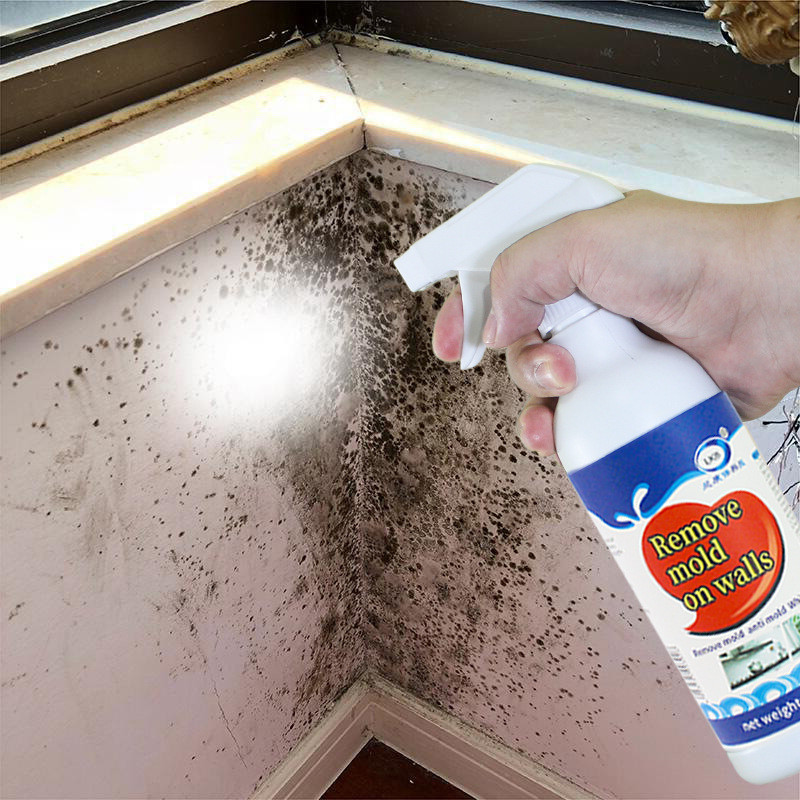 Jual Semprotan Penghilang Jamur Dinding Serbaguna / Spray Pembersih ...