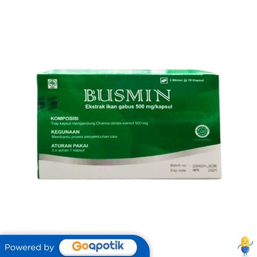 Jual Busmin 500 Mg Box 30 Kapsul | Shopee Indonesia