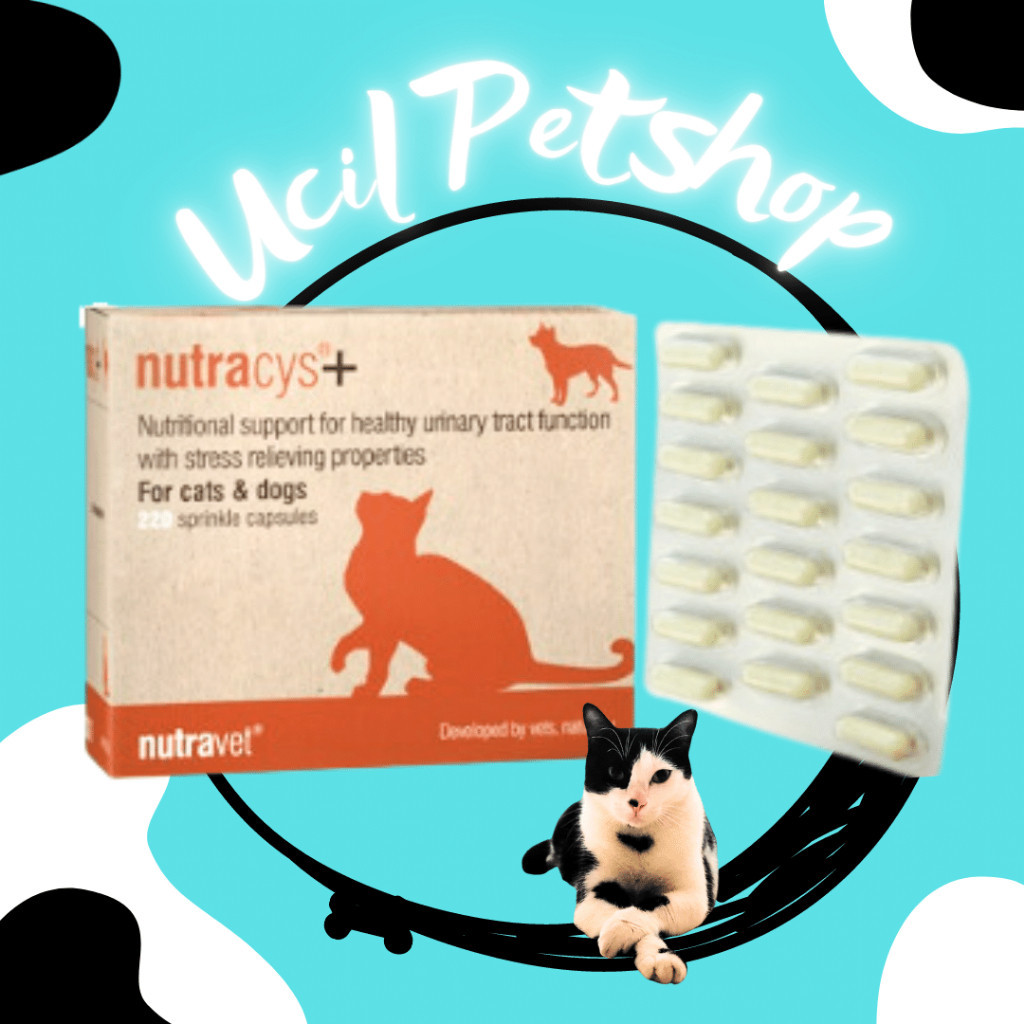 Jual Nutracys + Plus Urinary Tract (Cystaid) Susah Kencing Berdarah ...