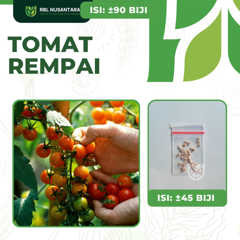 Jual 45 Benih Tomat Bibit Sayur Buah Tomat Ceri Rempai Rampai Unggul ...