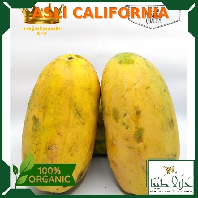 Jual Buah Pepaya California / Pepaya Fresh Manis Per 1 Buah | Shopee ...