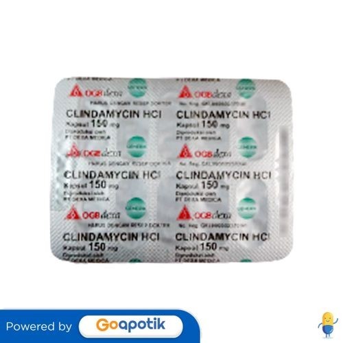 Jual Clindamycin Ogb Dexa Medica 150 Mg Strip 10 Kapsul | Shopee Indonesia