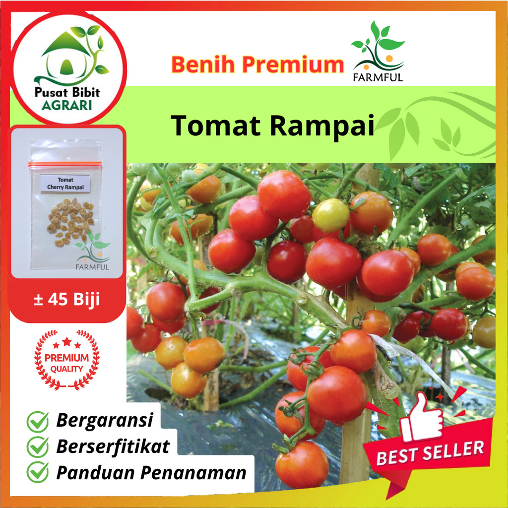 Jual Benih Sayuran Tomat Cherry Rampai Unggul Pusat Bibit Agrari | Shopee Indonesia