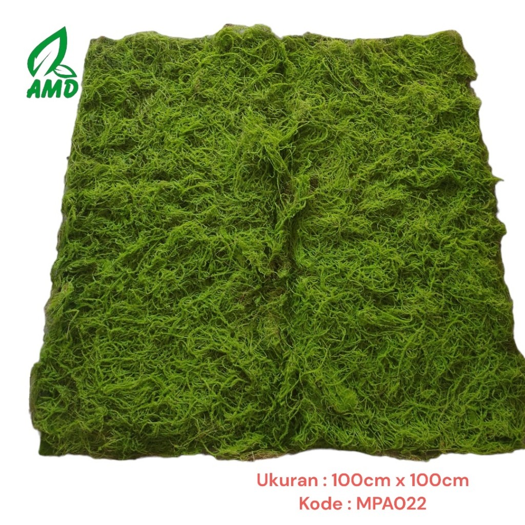 Jual Moss Lumut Dinding Sintetis Artificial Murah Premium | Shopee ...