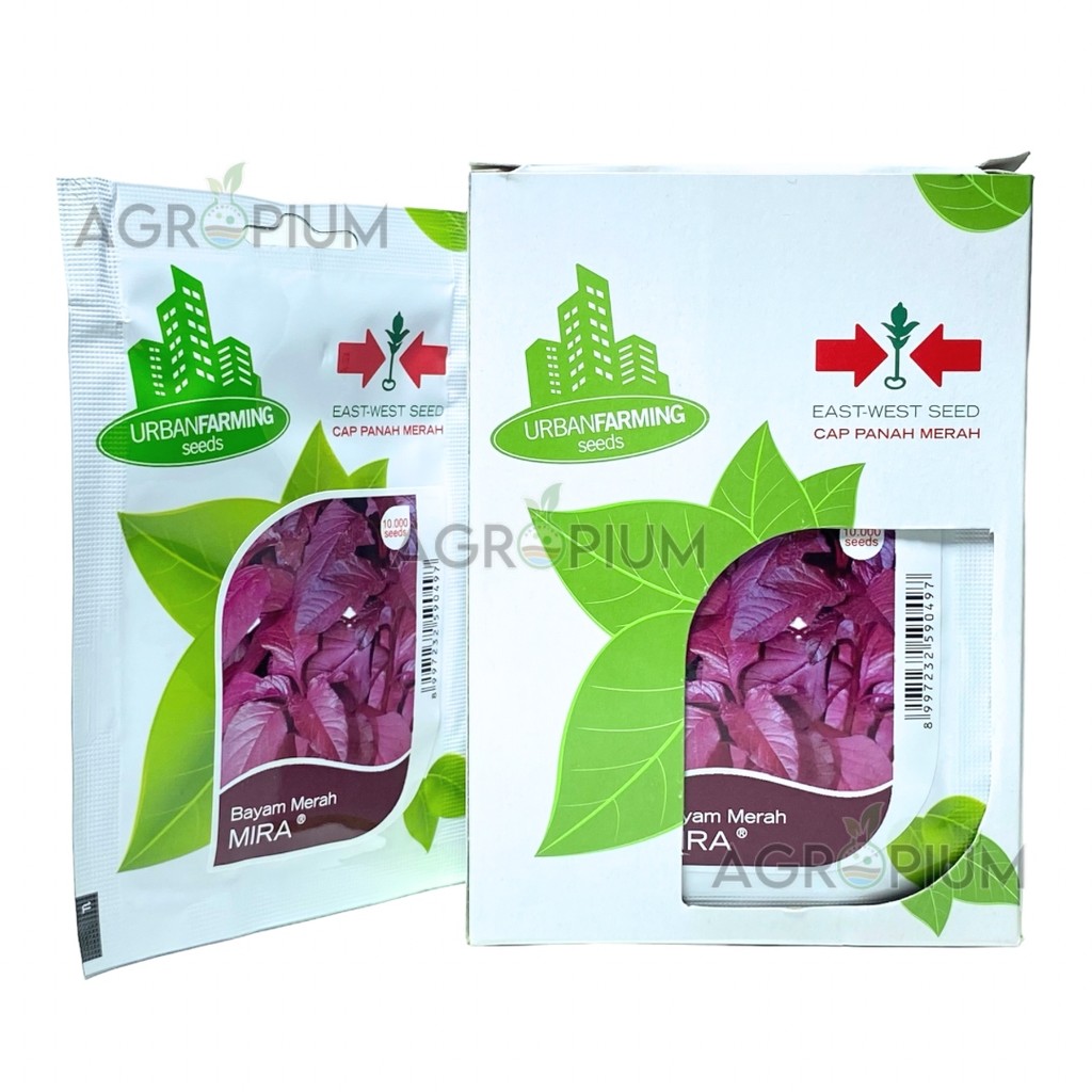Jual Benih Bayam Merah MIRA Isi 10000 Butir Cap Panah Merah | Shopee ...