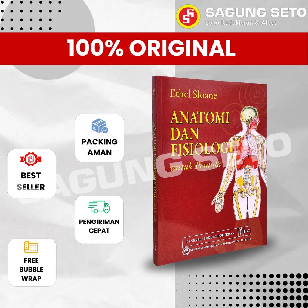 Jual BUKU ANATOMI DAN FISIOLOGI UNTUK PEMULA - ETHEL SLOANE EGC | Shopee Indonesia