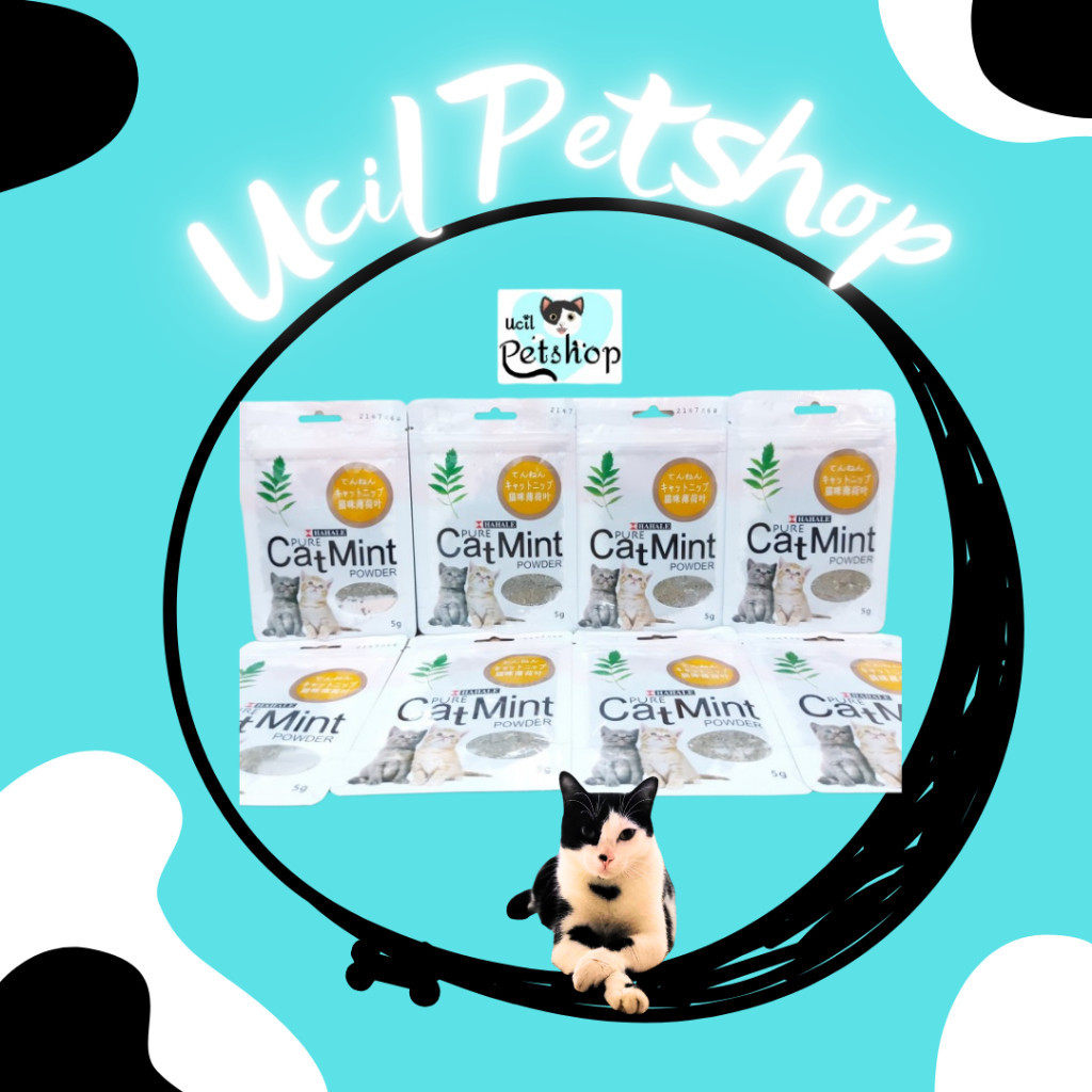 Jual Catnip catmint cat mint - Pure Catmint Powder Premium 5gr | Shopee ...