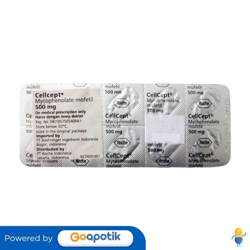 Jual Cellcept 500 Mg Strip 10 Kaplet | Shopee Indonesia