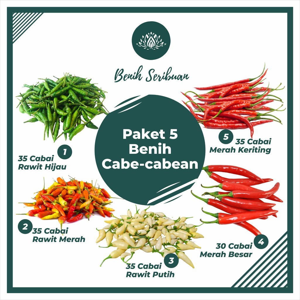 Jual Paket Bibit Cabe 5 Macam Benih Sayuran Cabai Rawit Merah Hijau ...