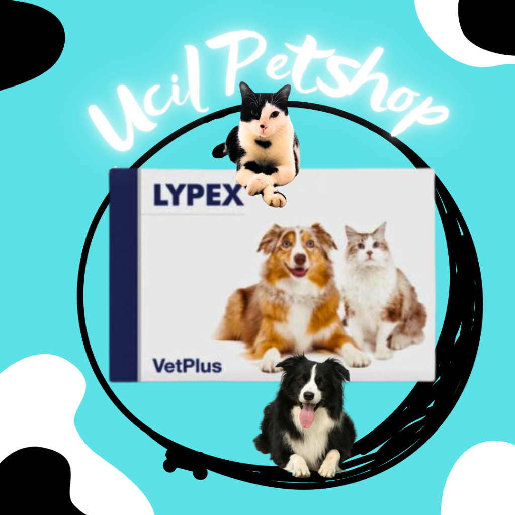 Jual LYPEX VetPlus Enzim Anti Diare untuk Kucing Anjing - Enzim Pencernaan Kucing Anjing (1 ...
