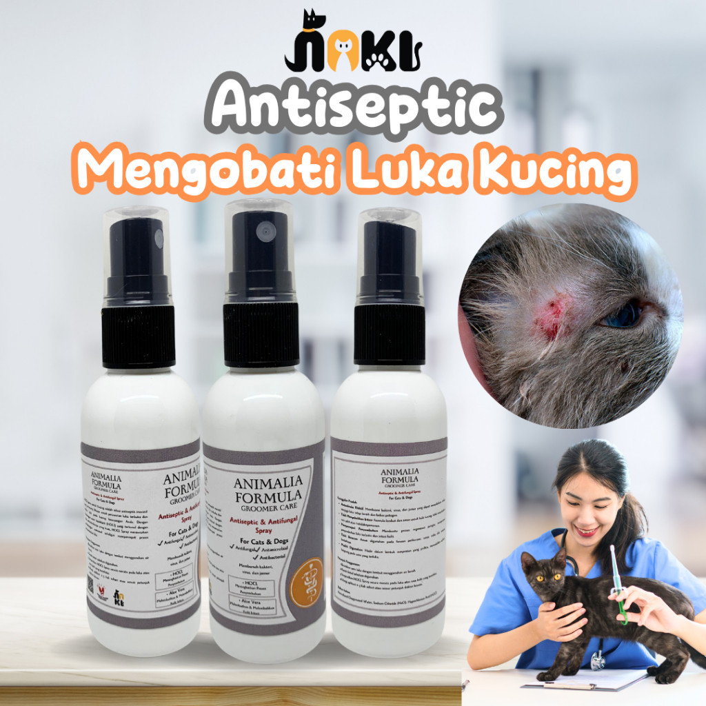 Jual OBAT LUKA KUCING UNTUK MENGOBATI SEMUA JENIS LUKA LUAR PADA KUCING ...