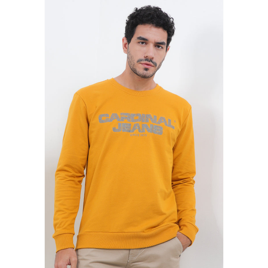 Jual Cardinal Sweater Pria C0194J07D | Shopee Indonesia