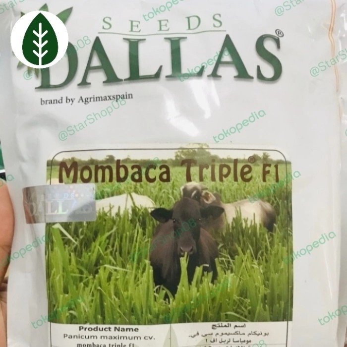 Jual Benih Rumput Mombaca F1 Triple Dallas Kemasan 2000 Biji hijau ...