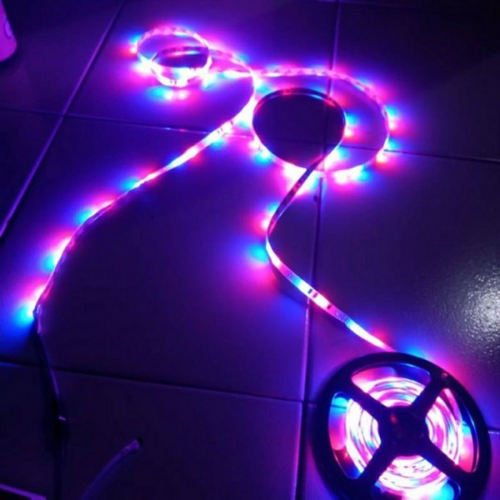 Jual Lampu Led strip 3528 12v ip44 RGB paket waterproof anti air ...