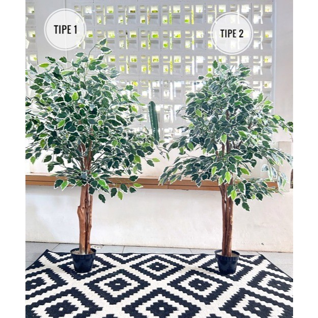 Jual Pohon Artificial Aesthetic Bonsai Beringin Varigata Ruang Tamu ...
