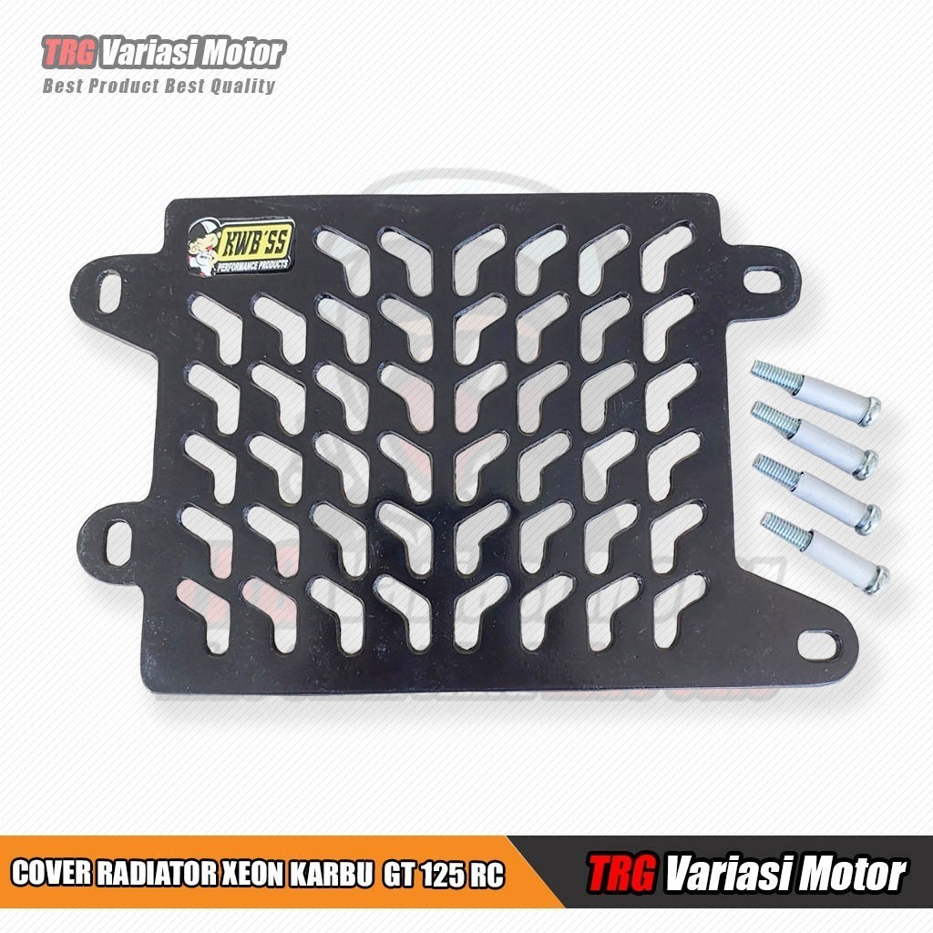 Jual Cover Radiator Xeon Karbu Xeon GT 125 Xeon RC Tutup Radiator Xeon ...